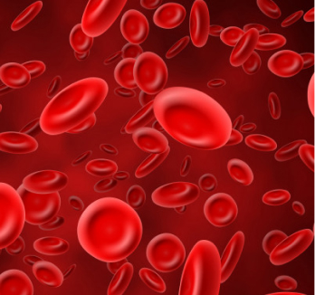 Dr. Karuna Kumar | Best Hematologist in Hyderabad, India